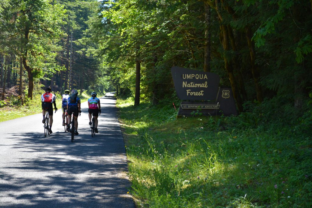 Classic Route Talk: Day 7 – Dorena Lake to Oakridge – Cycle Oregon