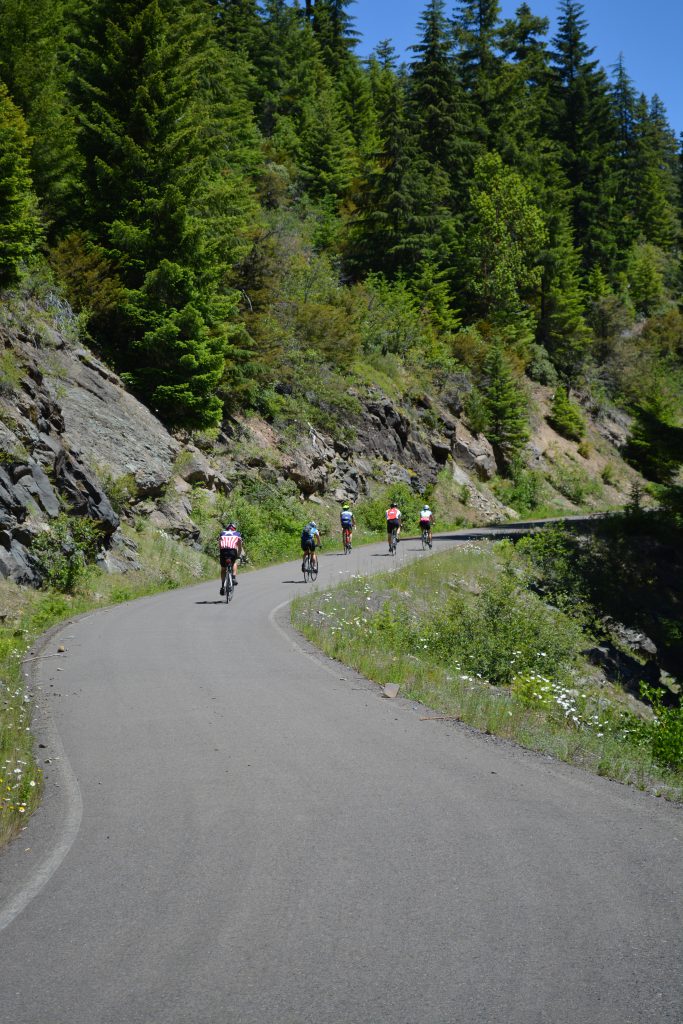 Classic Route Talk: Day 7 – Dorena Lake to Oakridge – Cycle Oregon