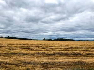 C2C Trail - Photos From The Road – Cycle Oregon