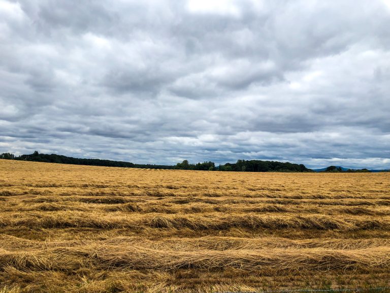 C2C Trail - Photos From The Road – Cycle Oregon