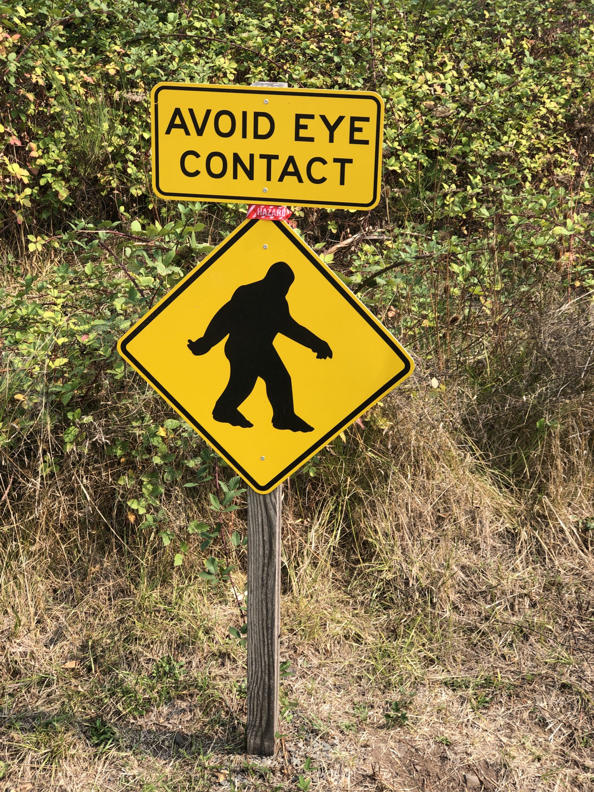 Row River Trail - Cottage Grove, OR – Cycle Oregon