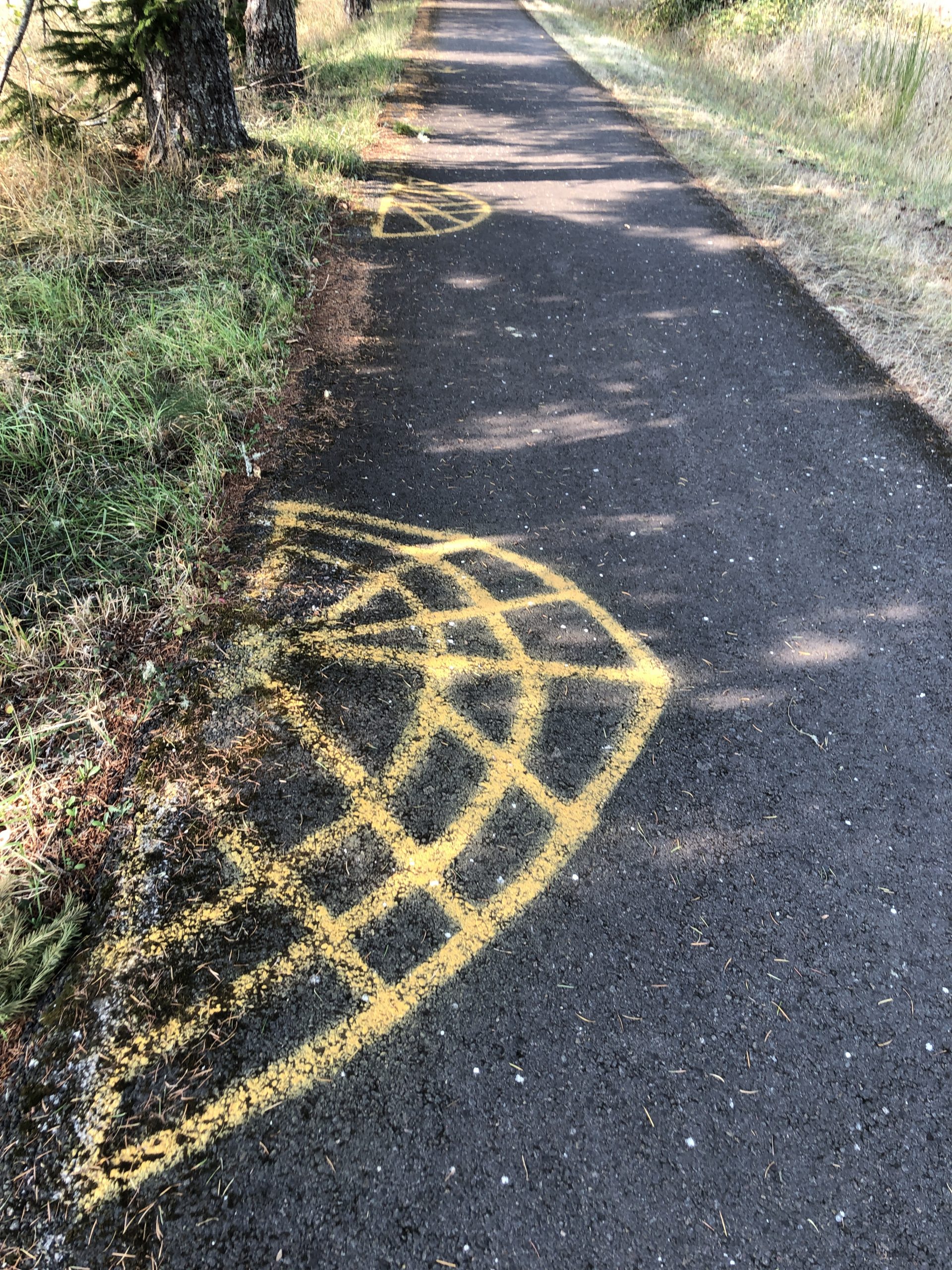 Row River Trail - Cottage Grove, OR – Cycle Oregon