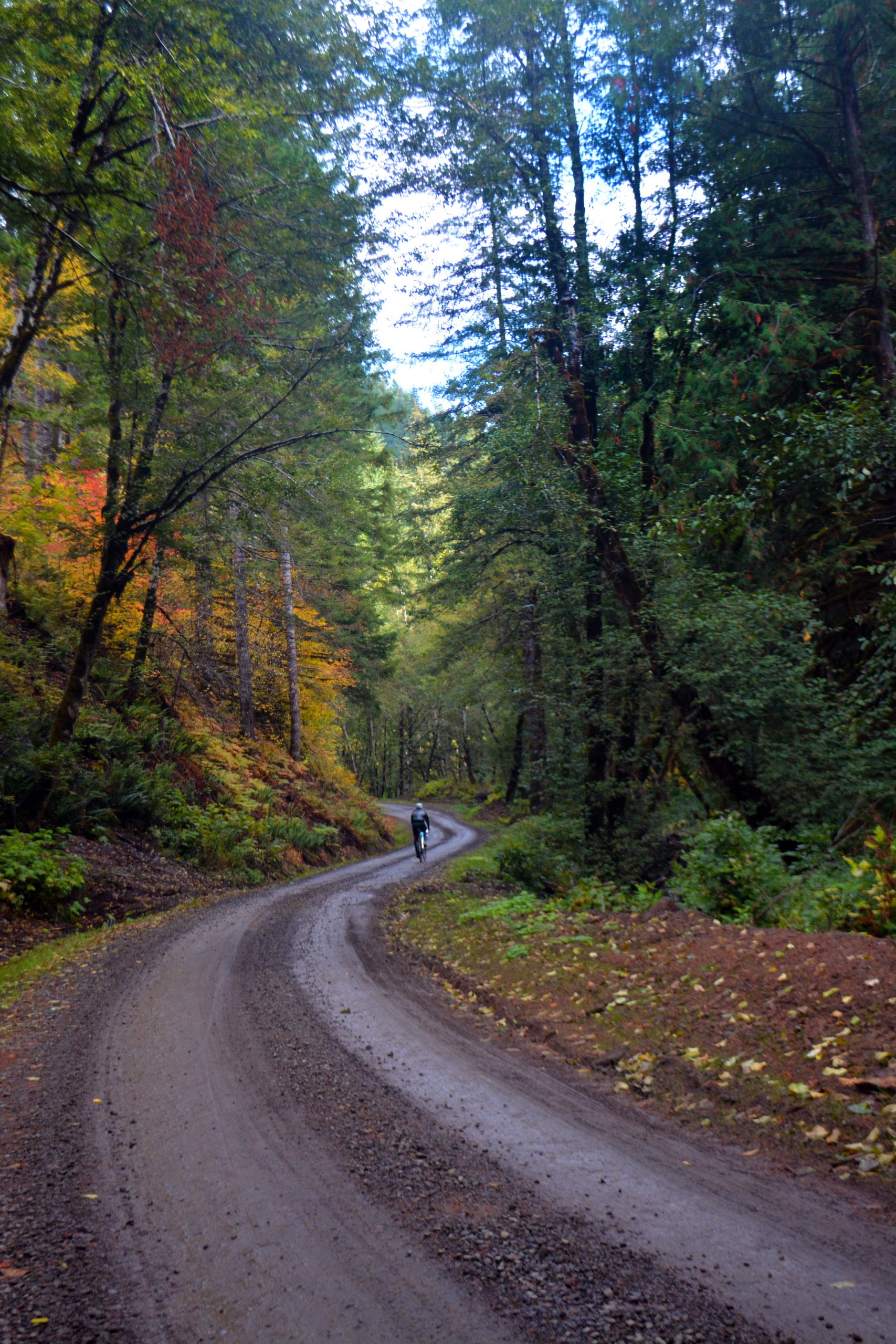 My Favorite Route - Chad Davis – Cycle Oregon