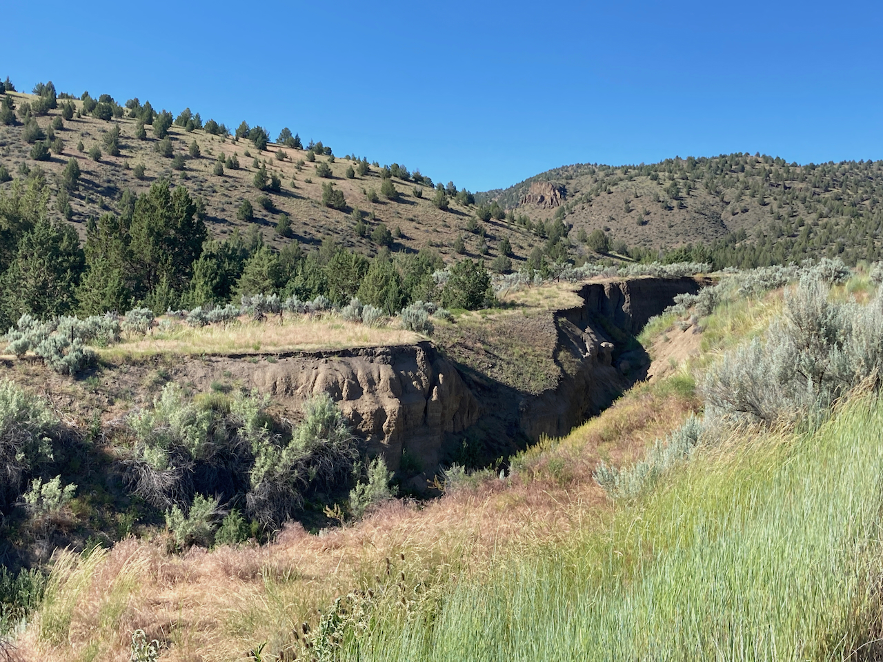 About the Route - Classic XXXII Day 4 – Cycle Oregon